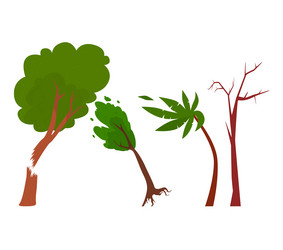 Trees Growth Vector Images (over 130,000)