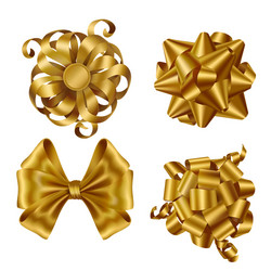 Satin bows set Royalty Free Vector Image - VectorStock