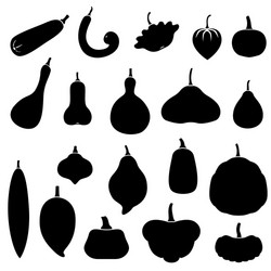 Squash Vector Images (over 19,000)