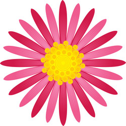 Aster Flower Vector Images (over 5,100)