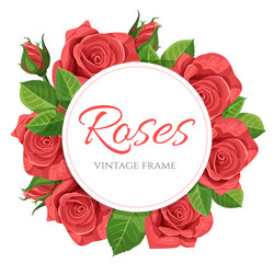 Red rose frame Royalty Free Vector Image - VectorStock