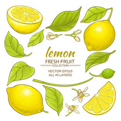 Lemon Vector Images (over 130,000)