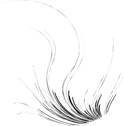 Organic weed grass like curvy wavy lines Vector Image