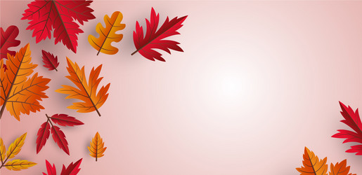 Autumn leaves background design Royalty Free Vector Image