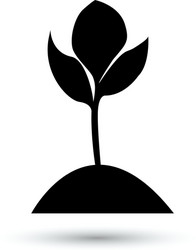 Biology little plant Royalty Free Vector Image