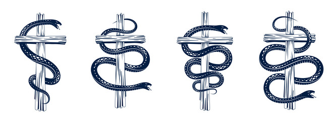 Snake wraps around christian cross the struggle Vector Image