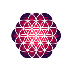 Sacred geometry and boo symbol set ayurveda sign Vector Image