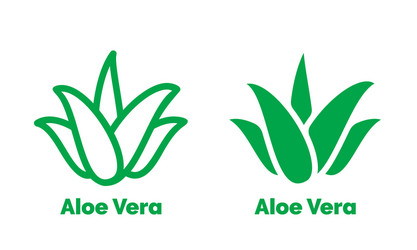 Green aloe vera icon on white background Vector Image