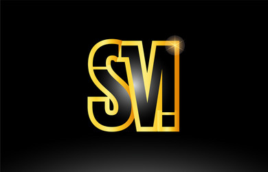 Combination letter sm s m gold golden alphabet Vector Image