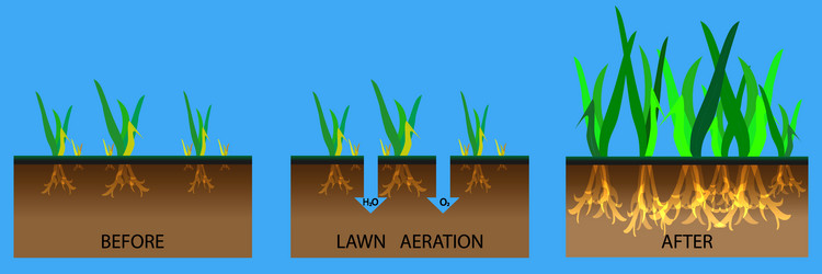 Aeration Vector Images (over 1,900)