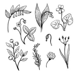 Viola Outline Drawing Vector Images (over 170)