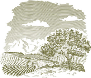 Field Drawing Vector Images (over 45,000)