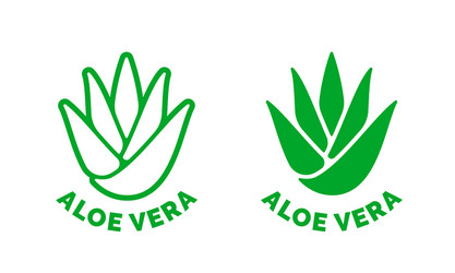 Green aloe vera icon on white background Vector Image