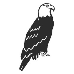 Eagle flying beak wing talon doodle bird Vector Image