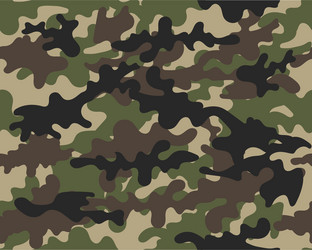 Texture military seamless army Royalty Free Vector Image