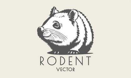 Rodent Vector Images (over 35,000)