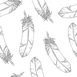 Hand drawn feathers Royalty Free Vector Image - VectorStock