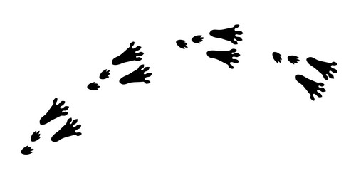 Drawing of hare tracks for 2023 red footprints Vector Image