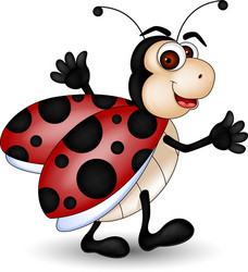 Cute ladybug cartoon Royalty Free Vector Image