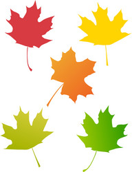 Paper maple leaf Royalty Free Vector Image - VectorStock