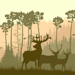 Elk Vector Images (over 15,000)