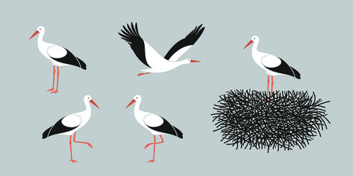 Stork Vector Images (over 8,200)