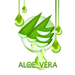 Aloe Vera Vector Images (over 5,600)