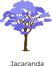Jacaranda Vector Images (over 120)