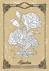 Carnation Doodle Vector Images (over 280)