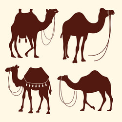 Camel profile silhouette Royalty Free Vector Image