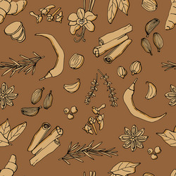 Seamless pattern various spices ginger chil Vector Image
