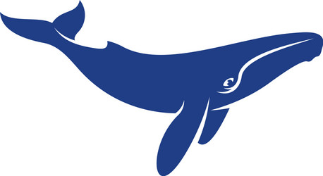 Whale design creative template Royalty Free Vector Image