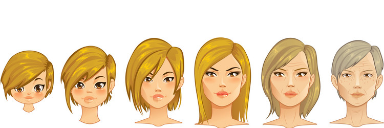 Aging process young girl and older woman Vector Image