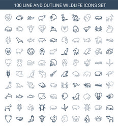 Footprint Dolphin Vector Images (over 140)