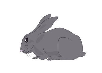 Bunny Sprite Vector Images (42)