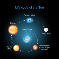 Sun life cycle stellar evolution Royalty Free Vector Image