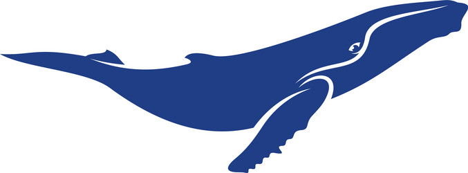 Whale design creative template Royalty Free Vector Image