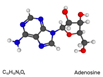 Adenosine Vector Images (over 170)