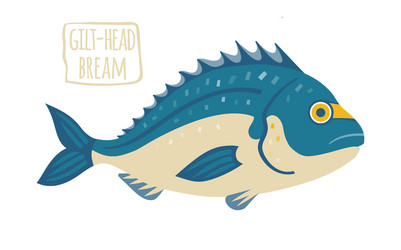 Bream Vector Images (over 1,000)