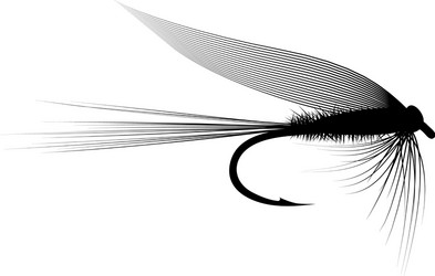 Dry fly Royalty Free Vector Image - VectorStock