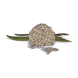 Rice Root Vector Images (over 210)