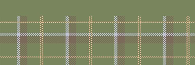Military green check plaid border seamless Vector Image