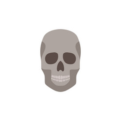 Skull Front Facing Vector Images (over 2,200)