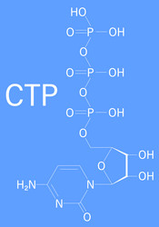 Ctp Vector Images (39)