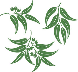 Eucalyptus Vector Images (over 14,000)