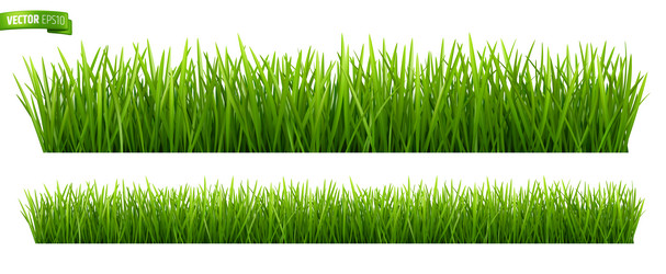 Realistic grass Royalty Free Vector Image - VectorStock