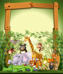 African Animal Border