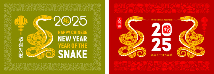 Chinese new year 2025 of the snake greeting Vector Image