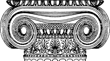 Roman-ionic capital a design of scroll rolled Vector Image
