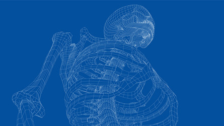 Anatomy Blueprint Vector Images (over 260)